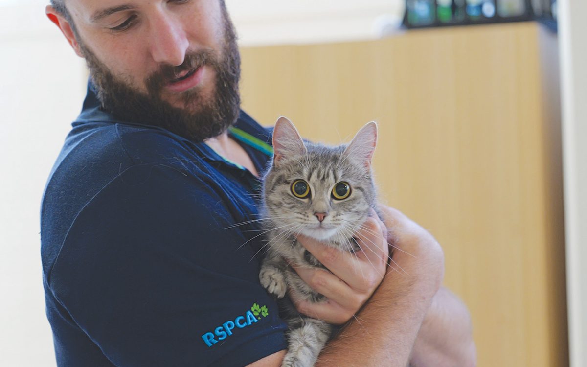 New program puts pets in the escape plan - MPNEWS